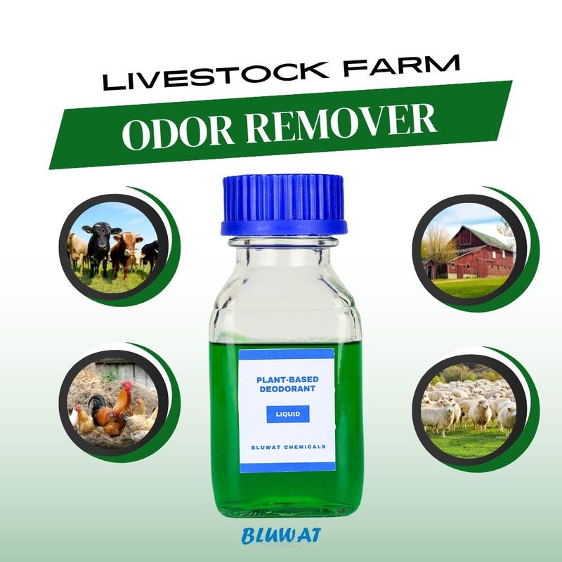 Livestock Farm Plant Deodorant For Sheep Compost Ammonia Odor ...