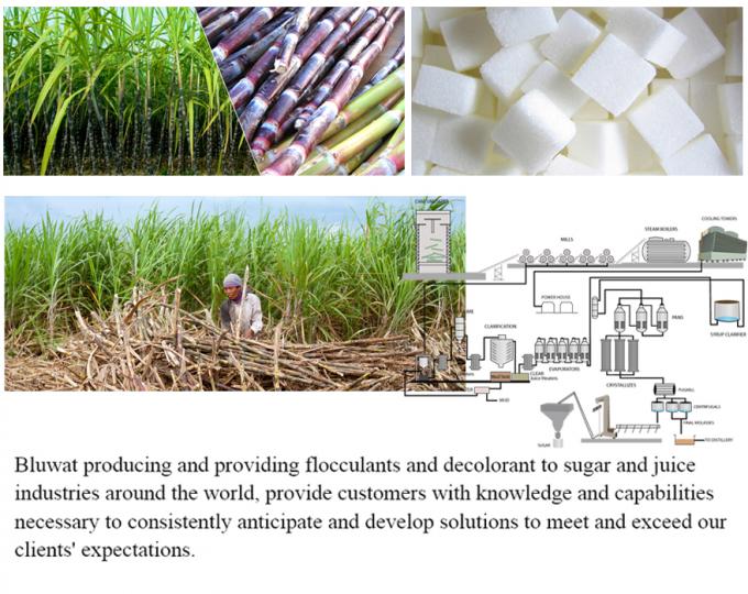 Phosphatation Process Flotation Flocculant Anionic Polyacrylamide ...