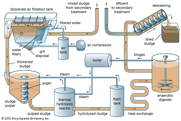 Cationic Polyacrylamide Flocculant for Pulp and Paper Sludge Dewatering ...